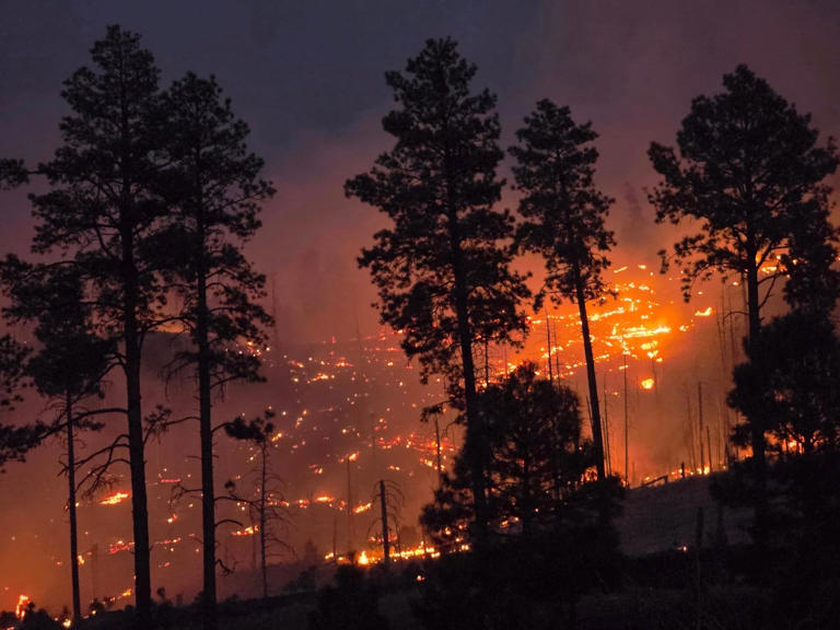 What to know about the Greer Fire in eastern AZ that's consumed over ...
