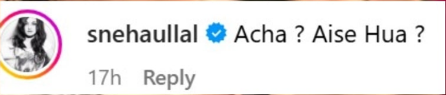 Sneha Ullal responds to directors’ claim that Salman Khan’s sister ...