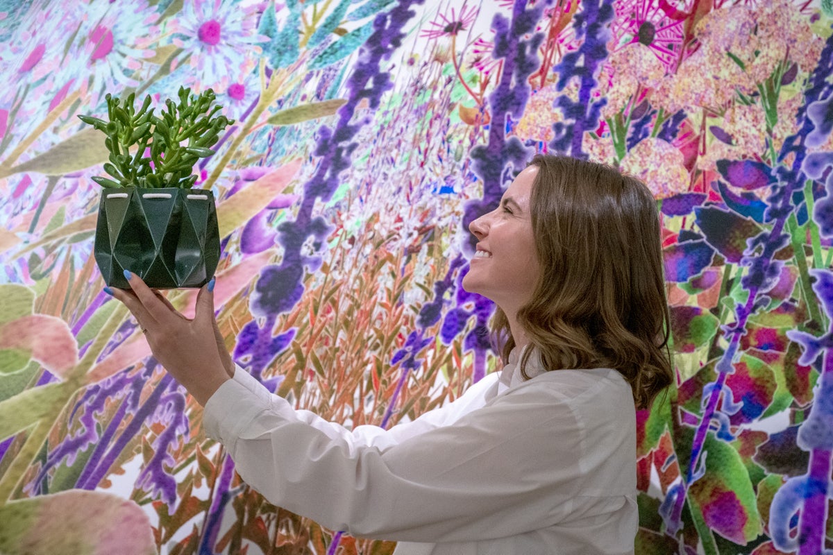 Garden design exhibition at V&A Dundee aims to inspire ‘joyful future’