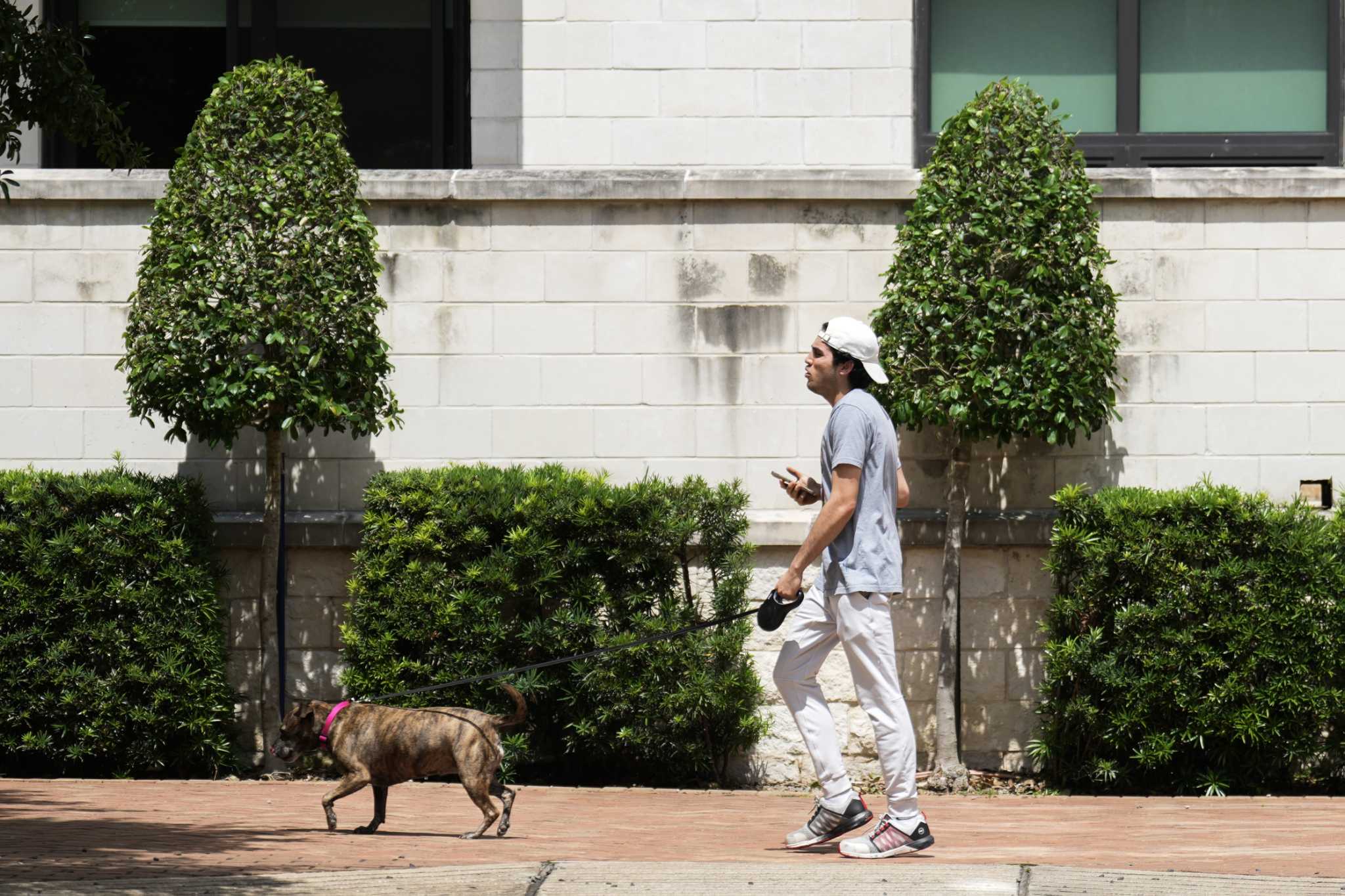 Early-arriving Houston heat wave will be dangerous for dogs. Here's how ...