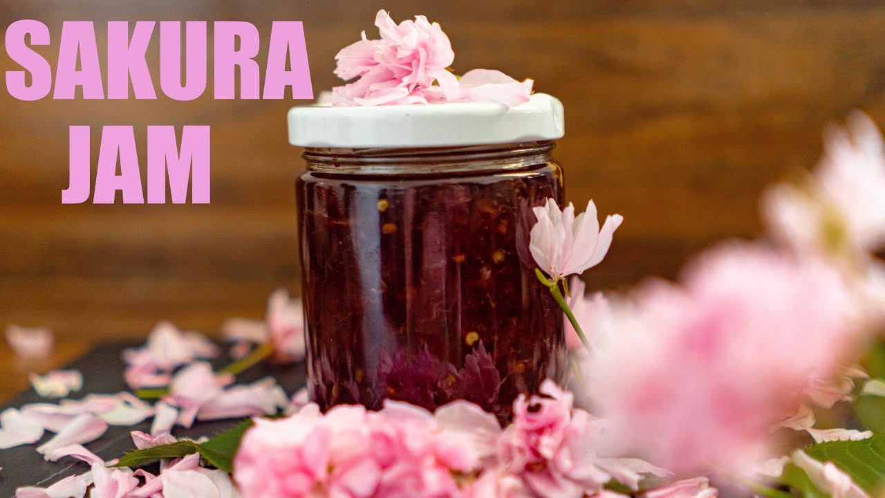 Outdoor Chef Life - MSN