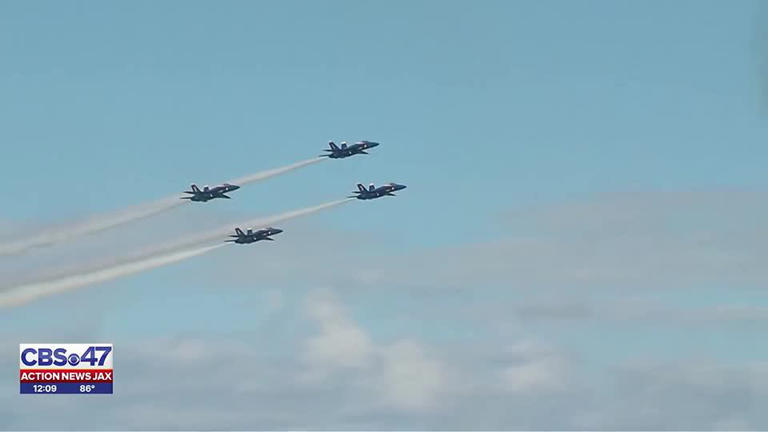 Meet the Blue Angels flying in the Golden Isles Air Show