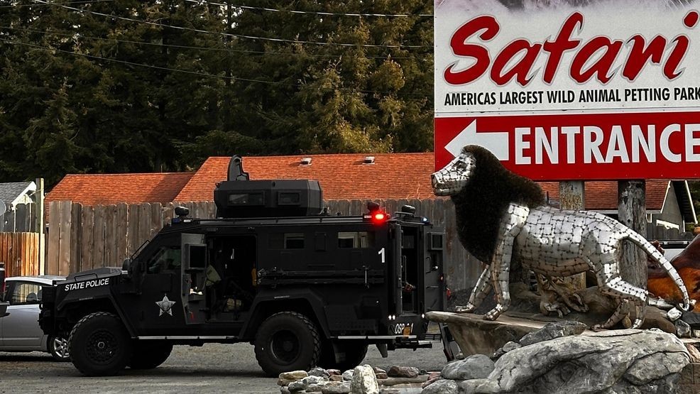 Authorities investigate West Coast Game Park Safari over animal welfare ...