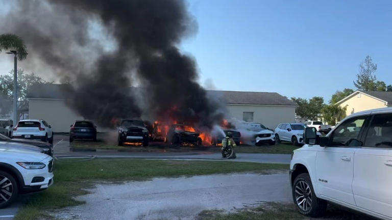 Fire engulfs multiple vehicles at car dealership in Stuart