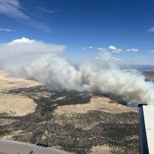 Greer Fire in eastern Arizona grows to 9,500 acres with no containment