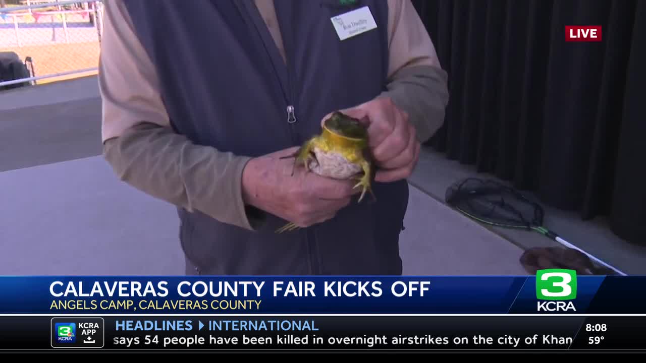 Getting a jump on weekend fun at Calaveras County Fair & Jumpin' Frog ...