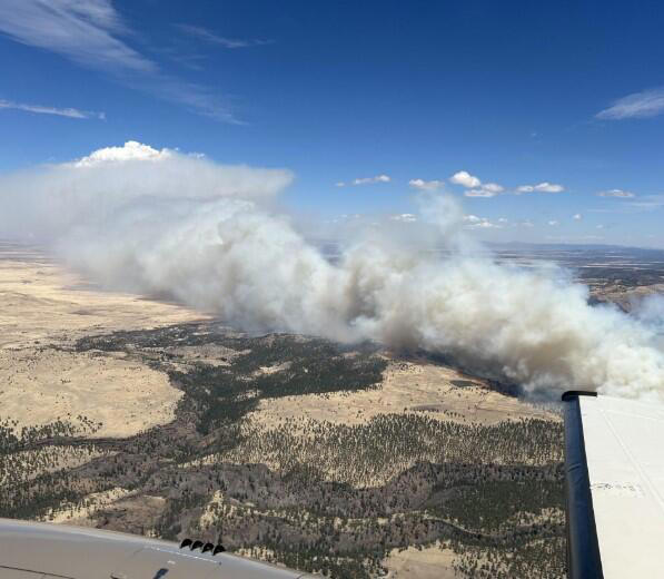 Greer Fire in eastern Arizona grows to 9,500 acres with no containment