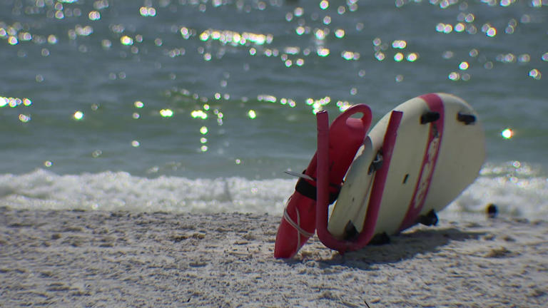 Advisory lifted for popular Pinellas County beaches, bacteria at ...