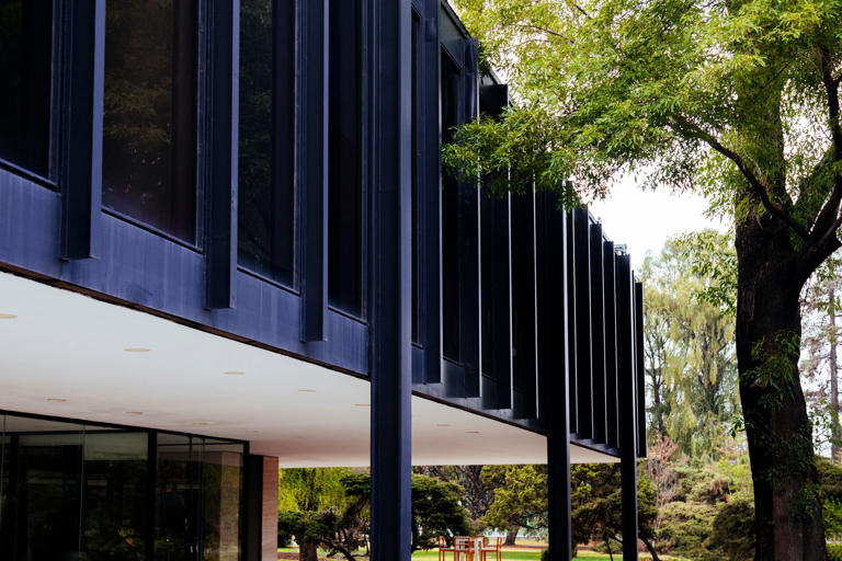 La obra industrial de Bacardí en México, así luce el único proyecto de ...