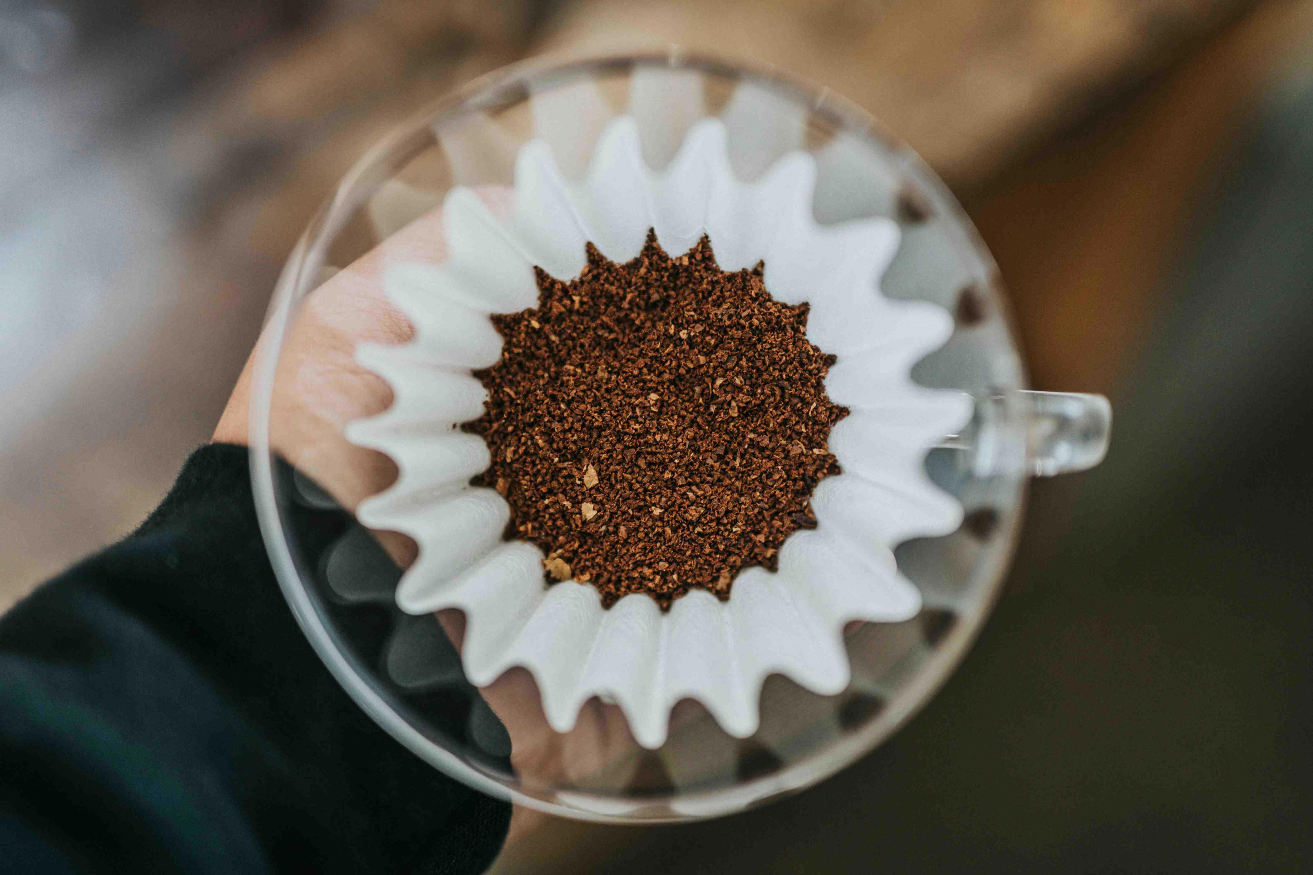 How to Recycle Coffee Grounds: A Guide for Creative Ideas to Embrace ...