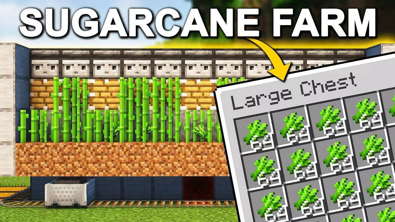 How to Make a Fully Automated Sugarcane Farm in Minecraft