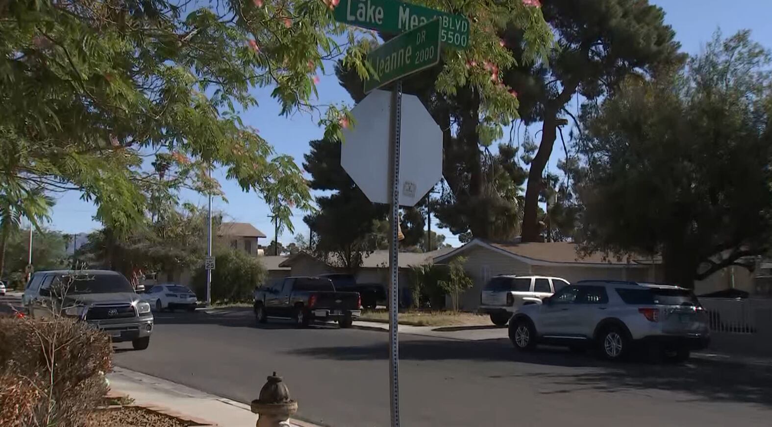 Woman facing child abuse charges after 4-year-old hit by car in ...