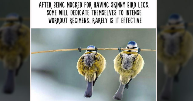 11 Fake Animal Facts that are Funny and Ridiculous
