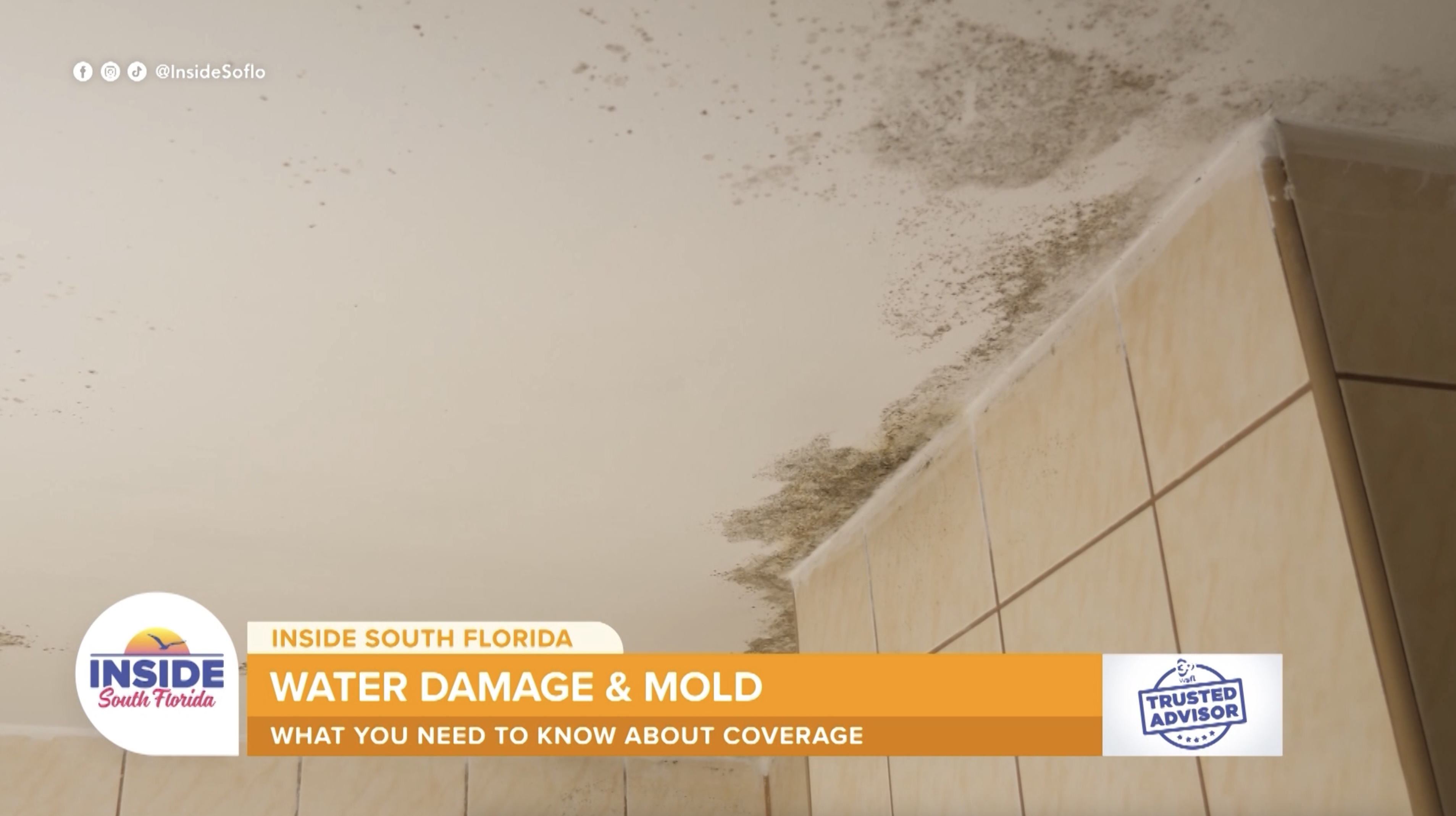 What to Know About Mold, Water Damage, and Property Insurance Claims