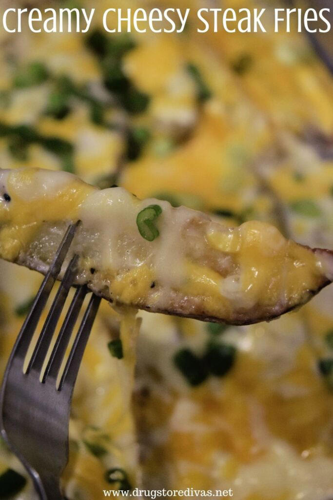 5+ Homemade Fries Recipes