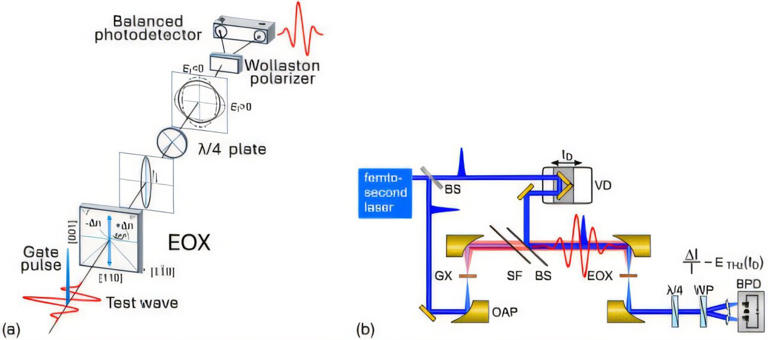Electro-optic sampling research unlocks new insights into quantum physics