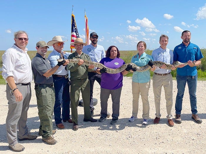 Florida Python Challenge 2025 is set: When is it, where is it, prize ...