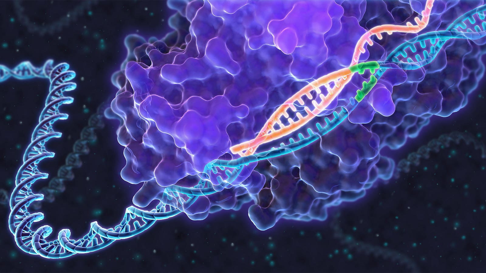 In a First, CRISPR Used to Treat Infant With Ultra-Rare Disease