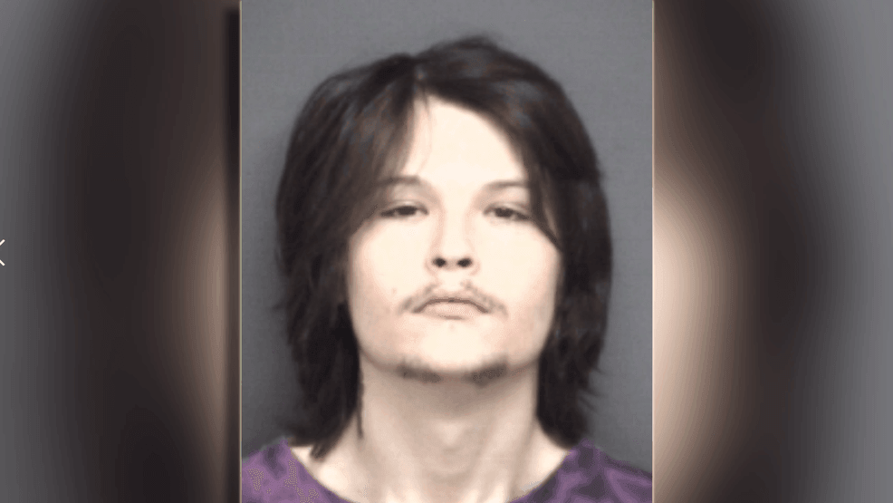 Sex offender arrested for entering children's playground in Greenville ...