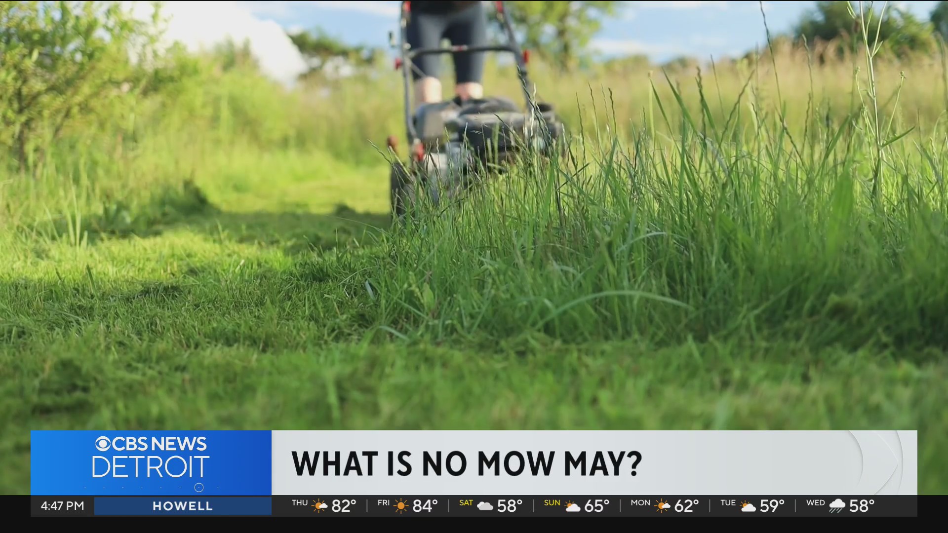 A look into the meaning behind "No Mow May"