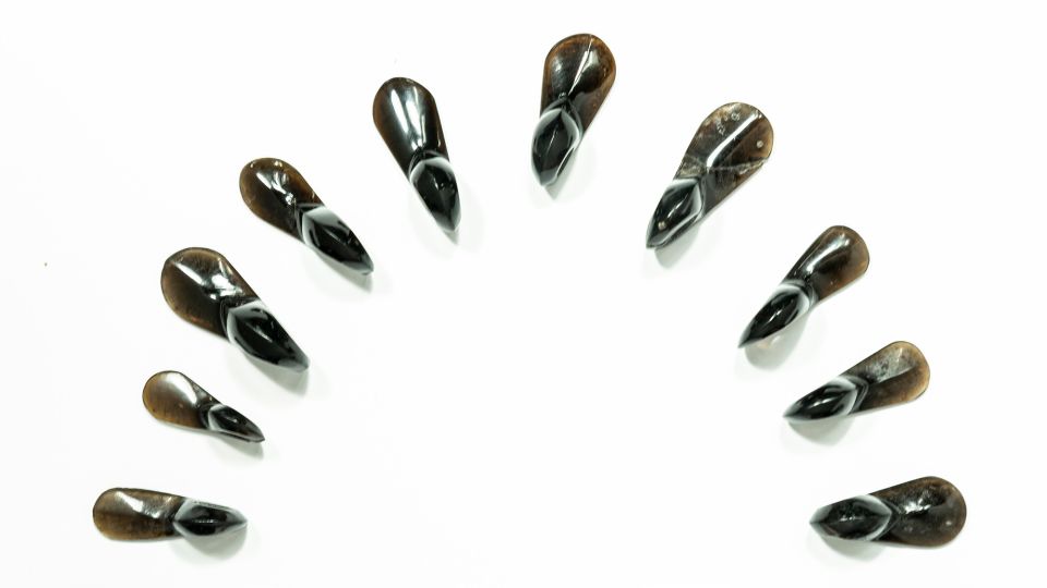 Hundreds of artifacts reveal where the Aztecs got their obsidian