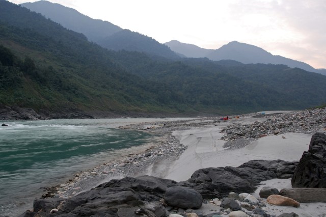 Scientists stunned after elusive creature resurfaces more than a ...