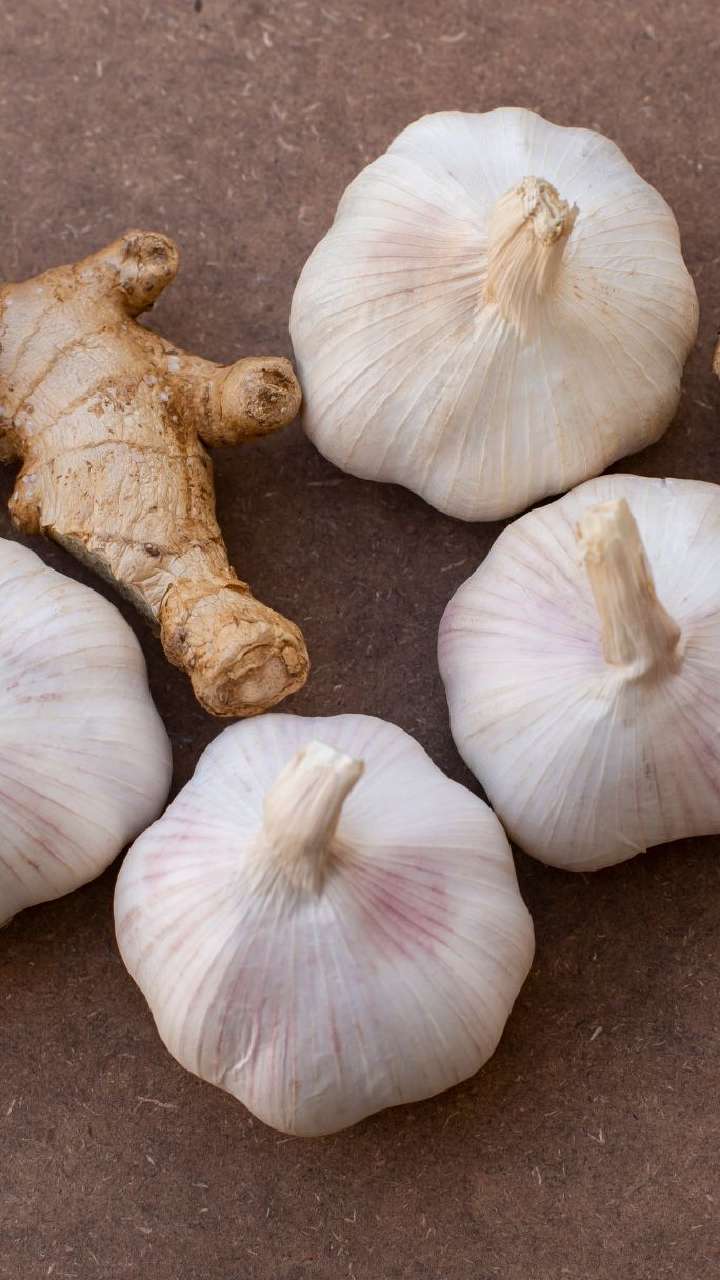5 Substitutes For Ginger Garlic Paste That You Should Try!