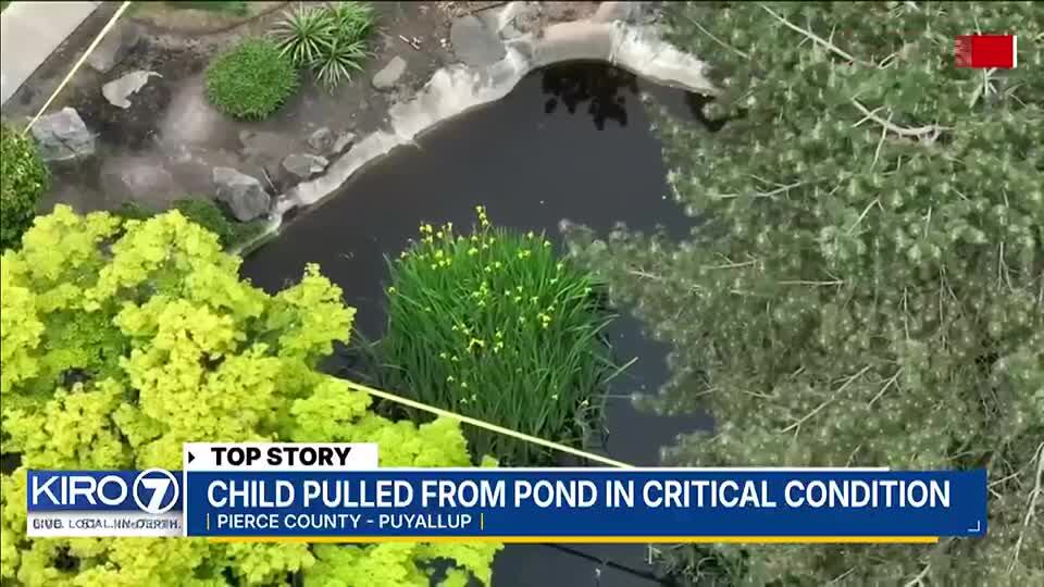VIDEO: Child pulled from pond in critical condition