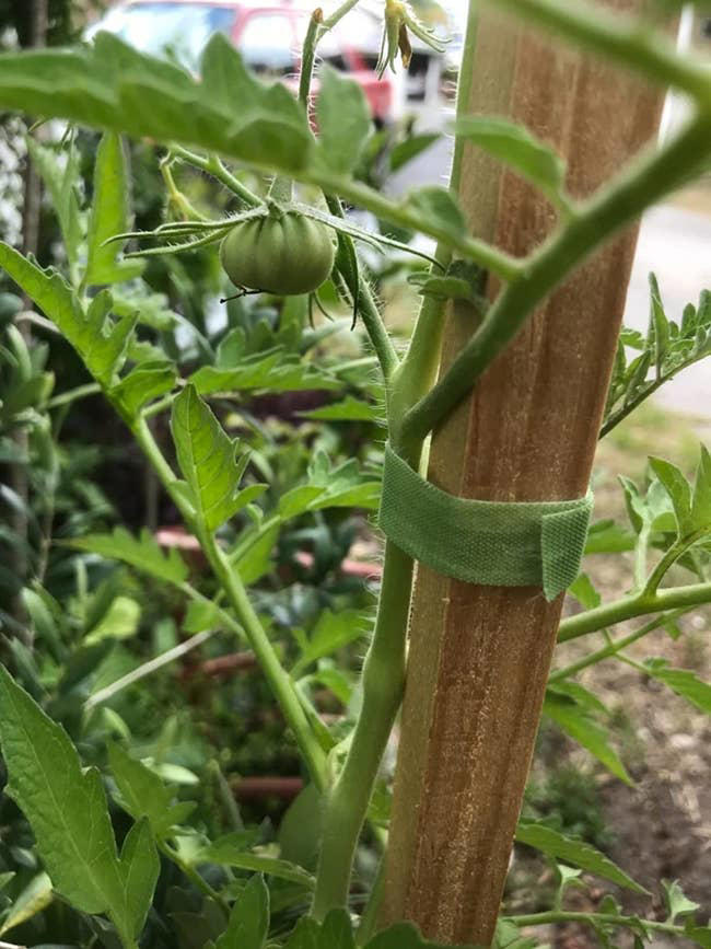 26 products that helped reviewers transform their gardening skills