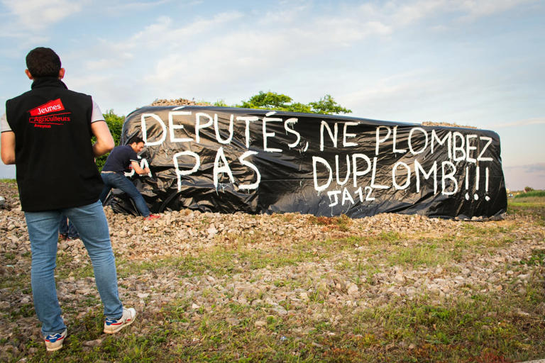 "C'est intolérable pour nous": la loi Duplomb remobilise les syndicats ...
