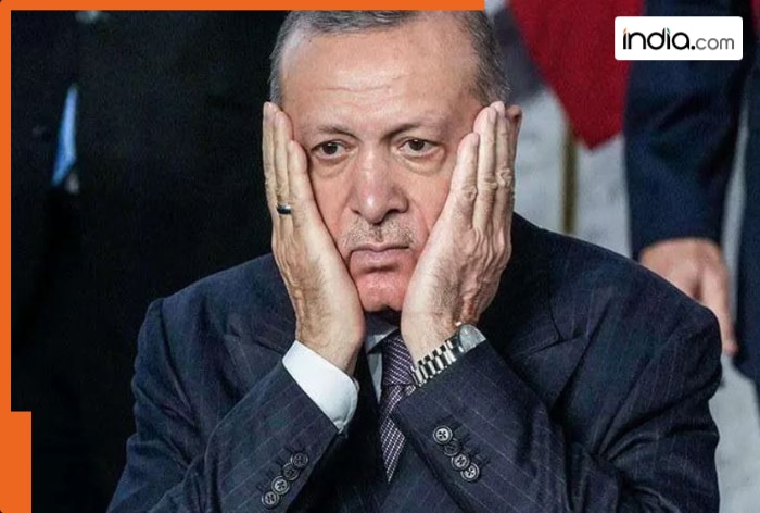 Boycott Turkey: One action by India destroys this Turkey company, loses ...