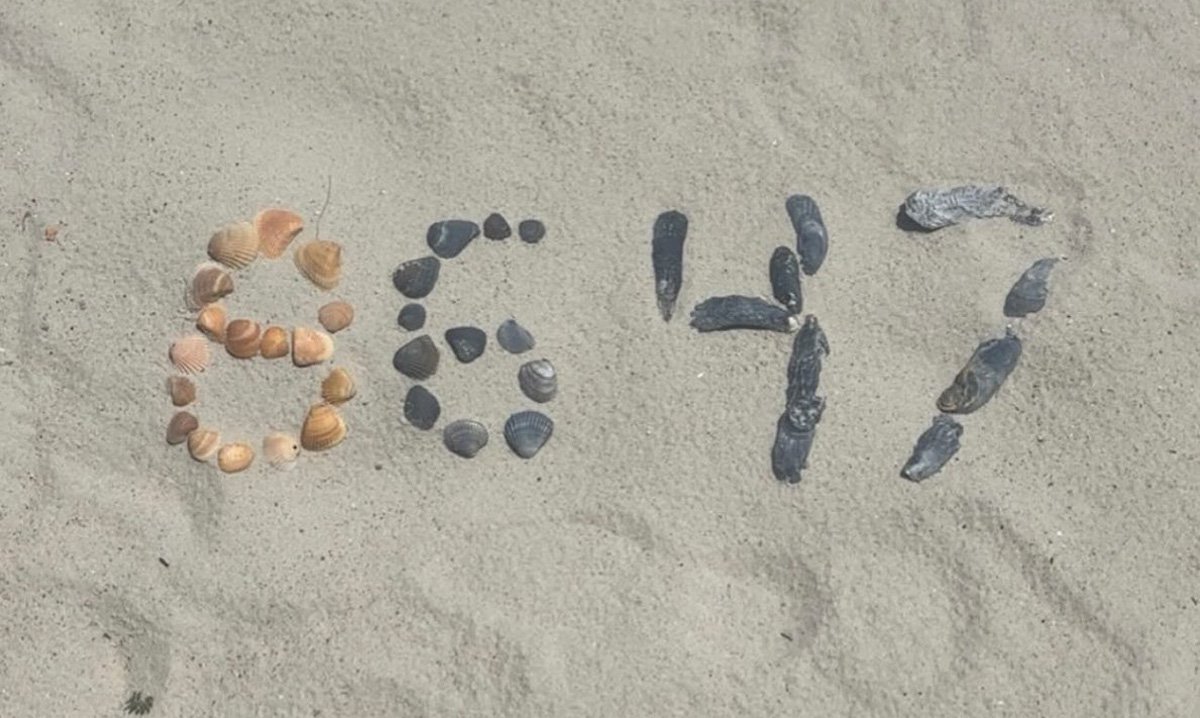 Why this photo of shells has sparked a wild conspiracy it's a threat ...