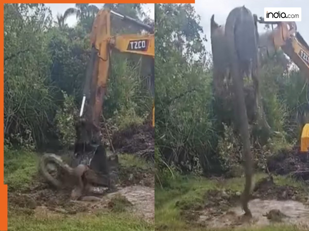 Azgar Ka Video: जेसीबी की खुदाई में मिला विशालकाय अजगर, लंबाई देख सूख ...