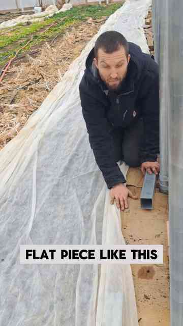 Cardboard Isn’t Just for Shipping – Try This Gardening Hack