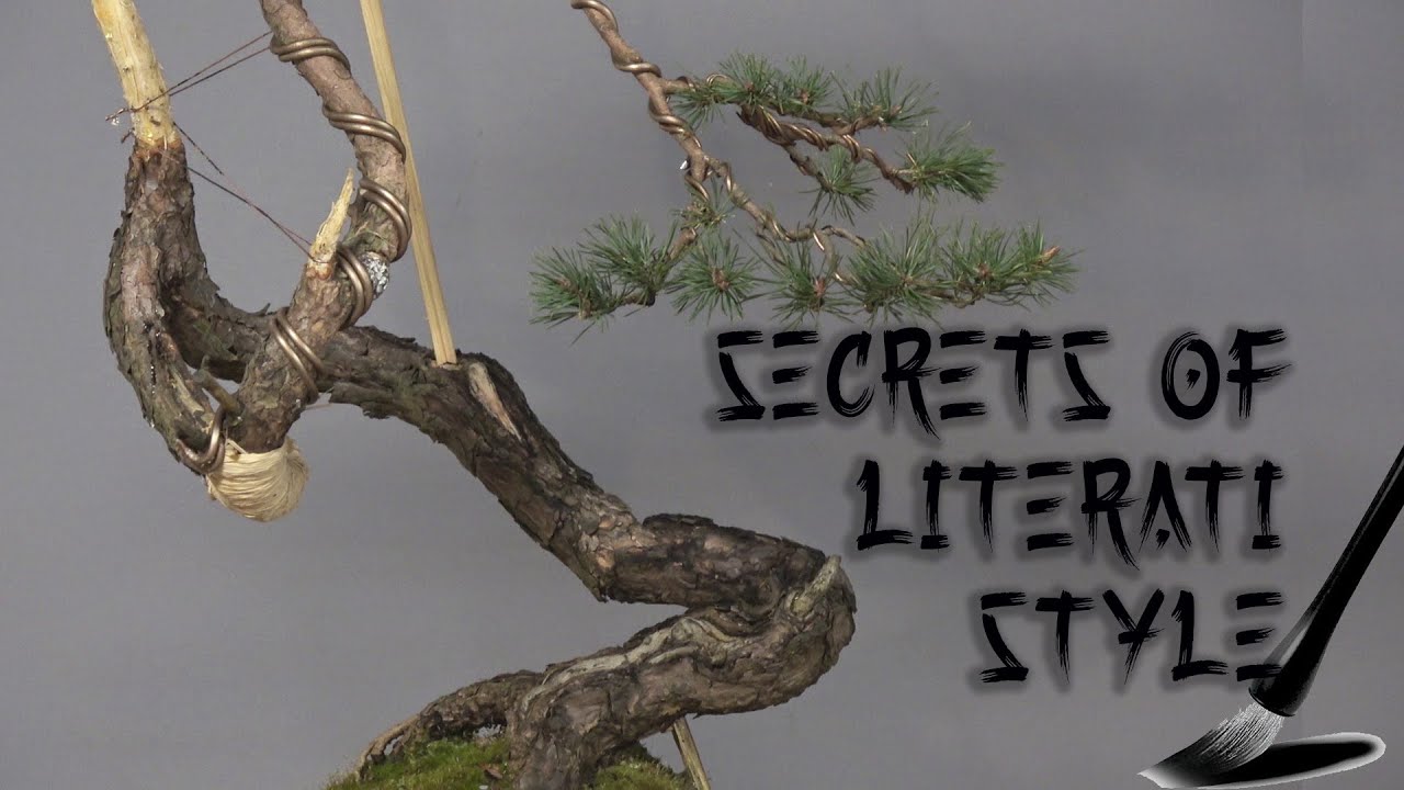 Secrets of Literati Style – Mastering the Art of Bonsai Shaping