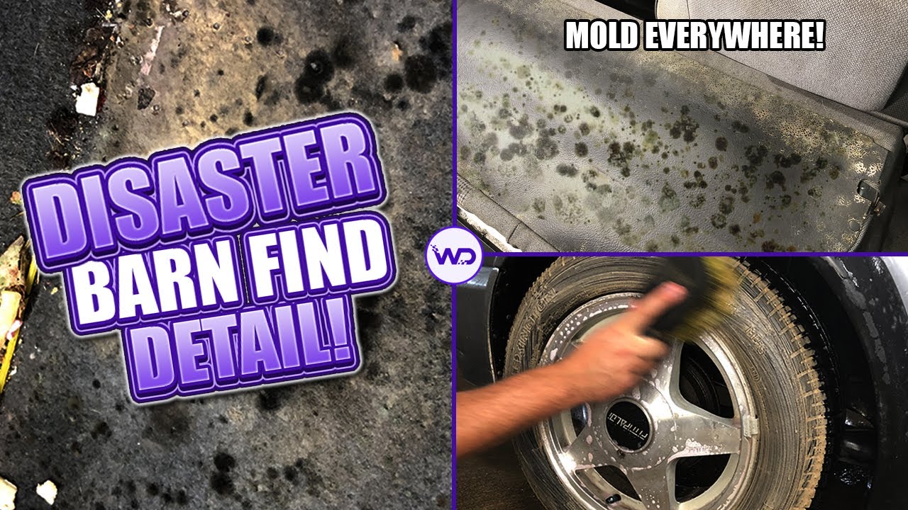 Deep cleaning a vintage moldy barn find for full disaster detail