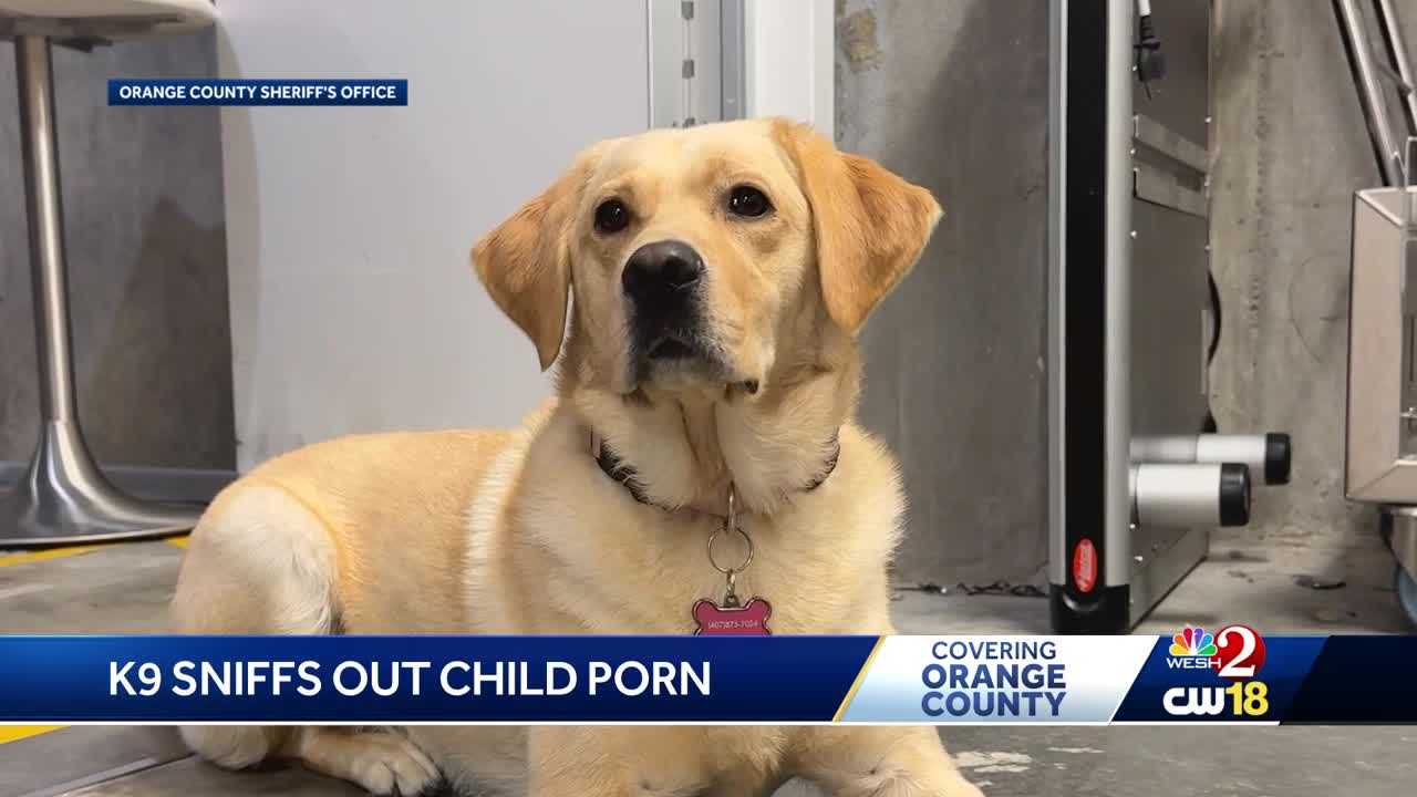 K9 detective sniffs out child internet crimes in Orange County