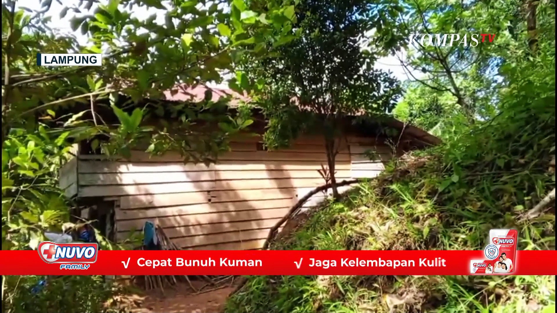 Kronologi Kakak-Adik di Lampung Ditemukan Tewas Dekat Rumah