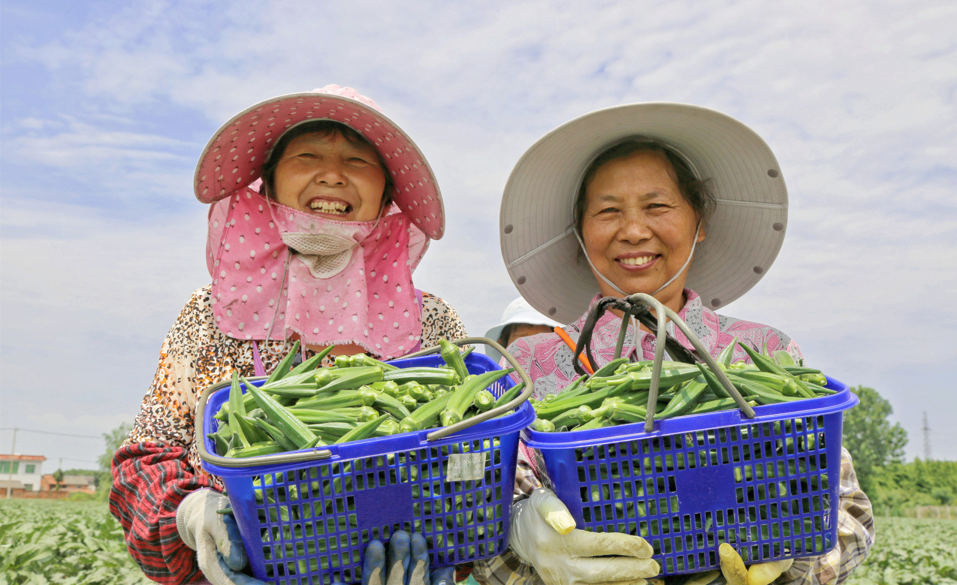 The most produced vegetables in the world