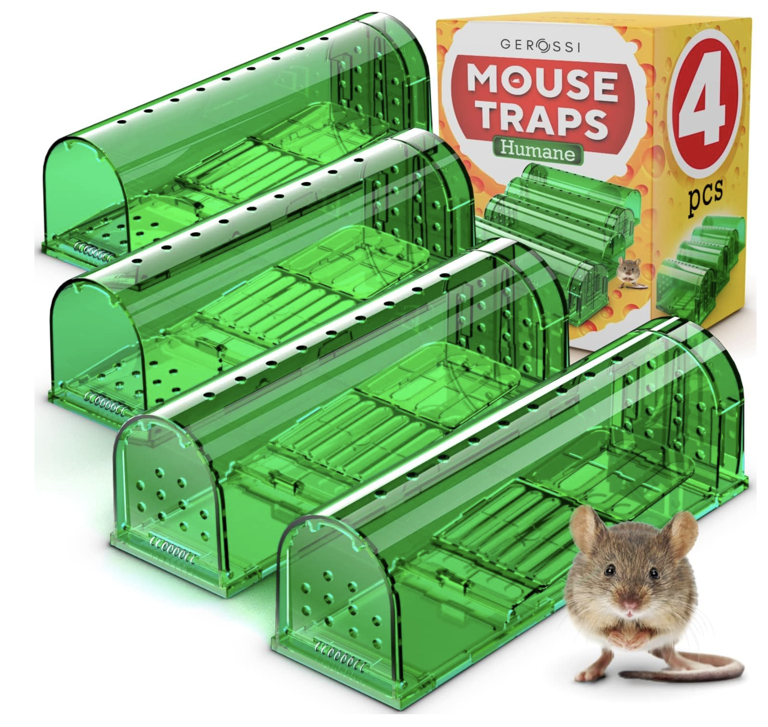 How to get rid of mice in your home — 5 proven steps