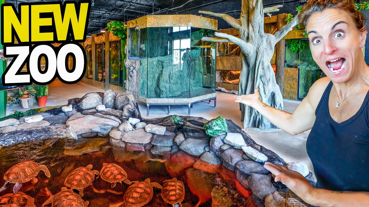 Crew Reacts To My New Zoo