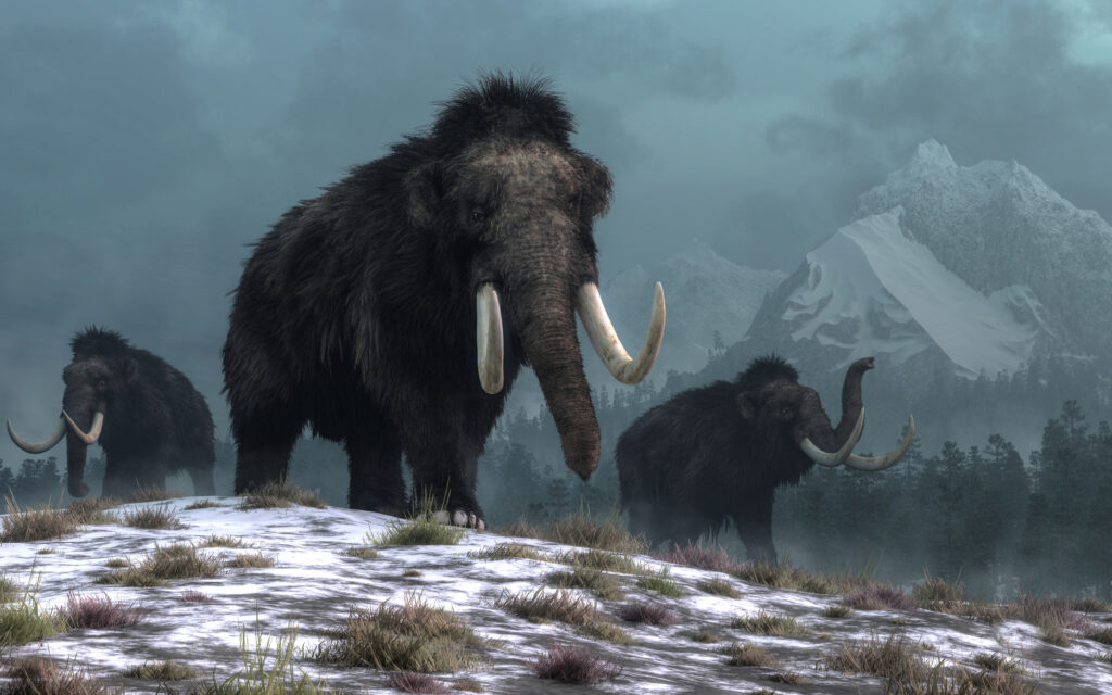 Could We Ever Bring Back The Woolly Mammoth? The Science Behind De ...