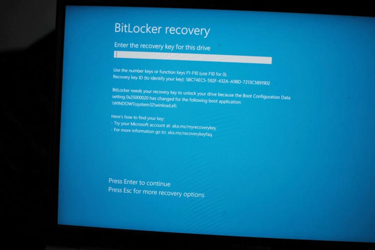 Deux mois plus tard, Microsoft corrige enfin le bug Windows qui ...