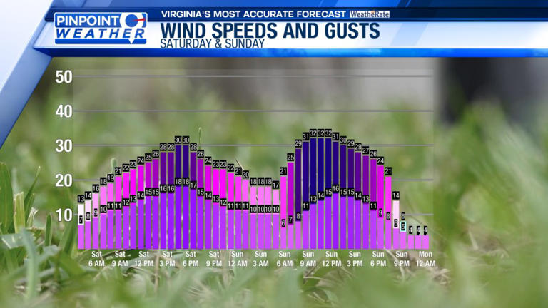 Pinpoint Weather: Severe storms possible today into tonight
