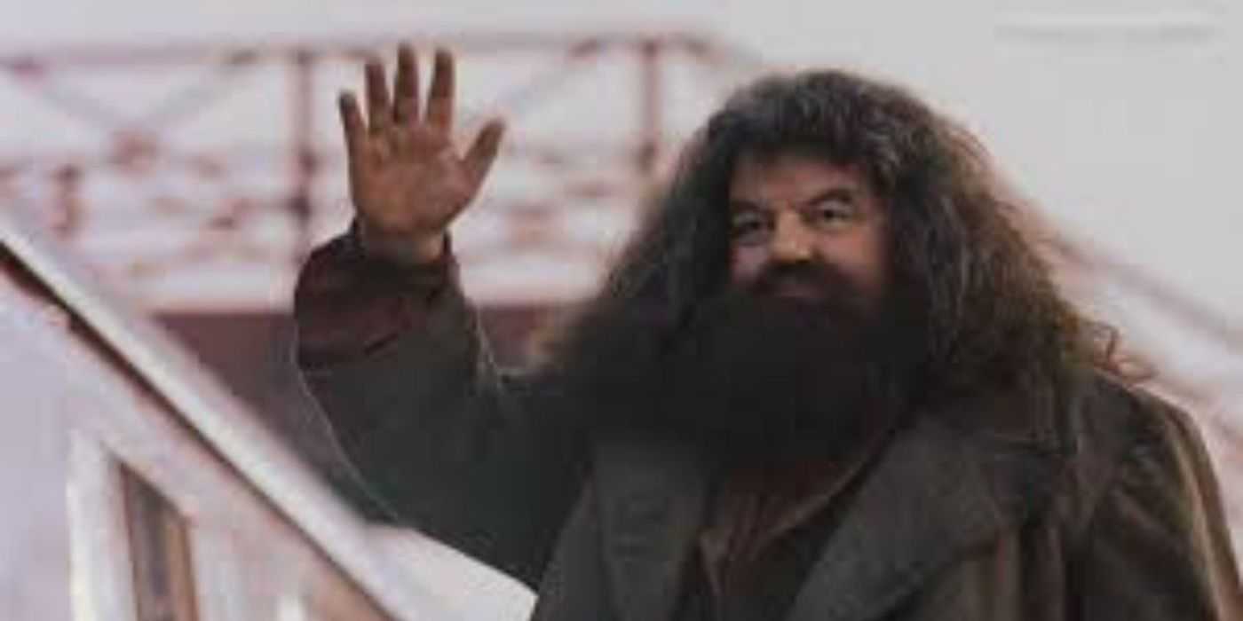 15 Best Hagrid Quotes In Harry Potter