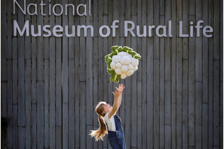 Woolly Weekend returns to Lanarkshire's National Museum of Rural Life