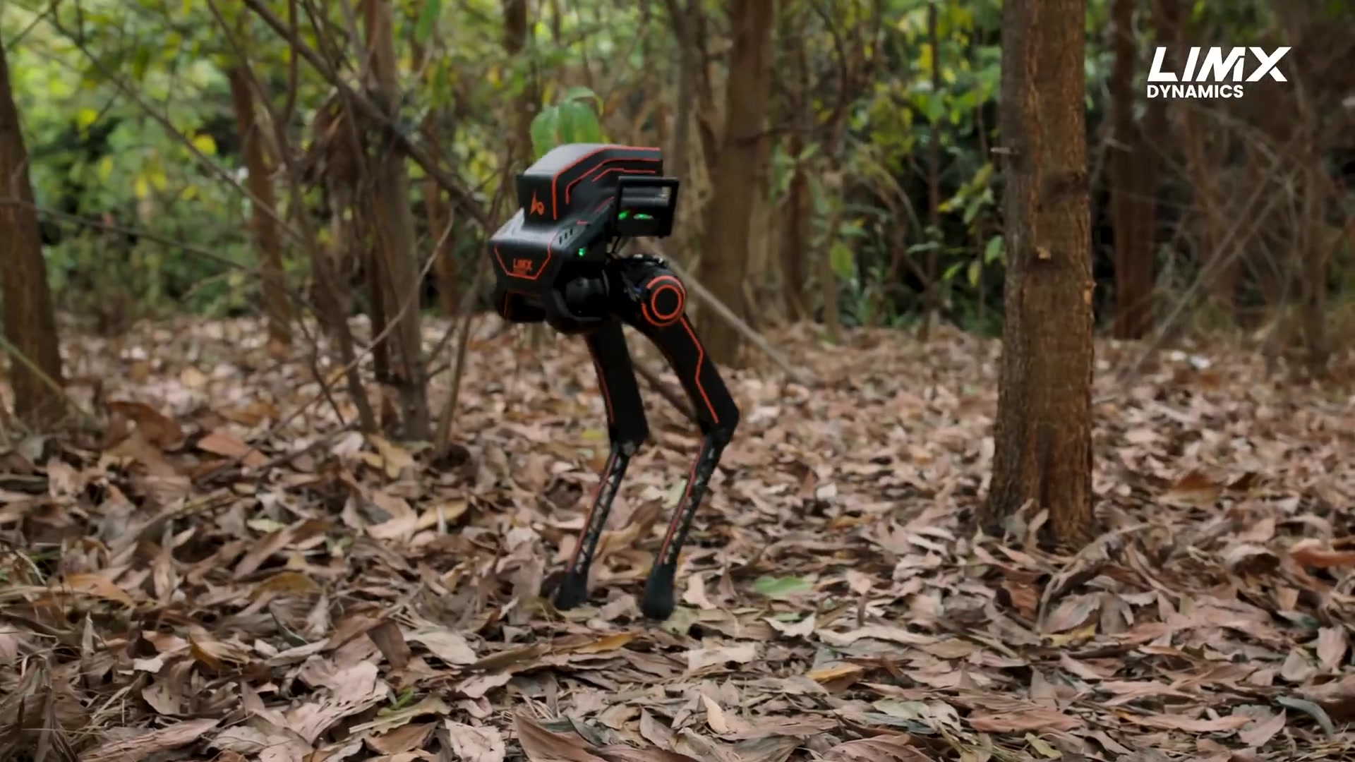 LimX Dynamics Biped Robot P1 Conquers the Wild Based on Reinforcement Learning