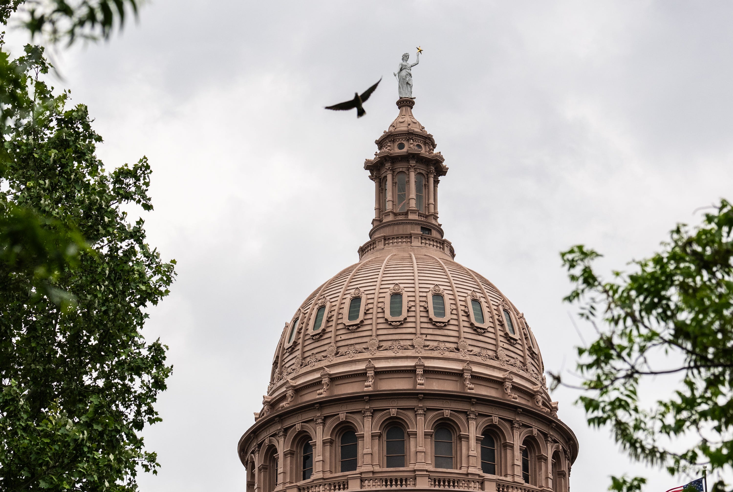 Federal action, not Texas' SB 946, is best way to stop political ...