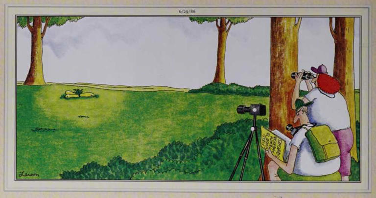 10 The Far Side Comics From 1986 That Prove Gary Larson is a Genius