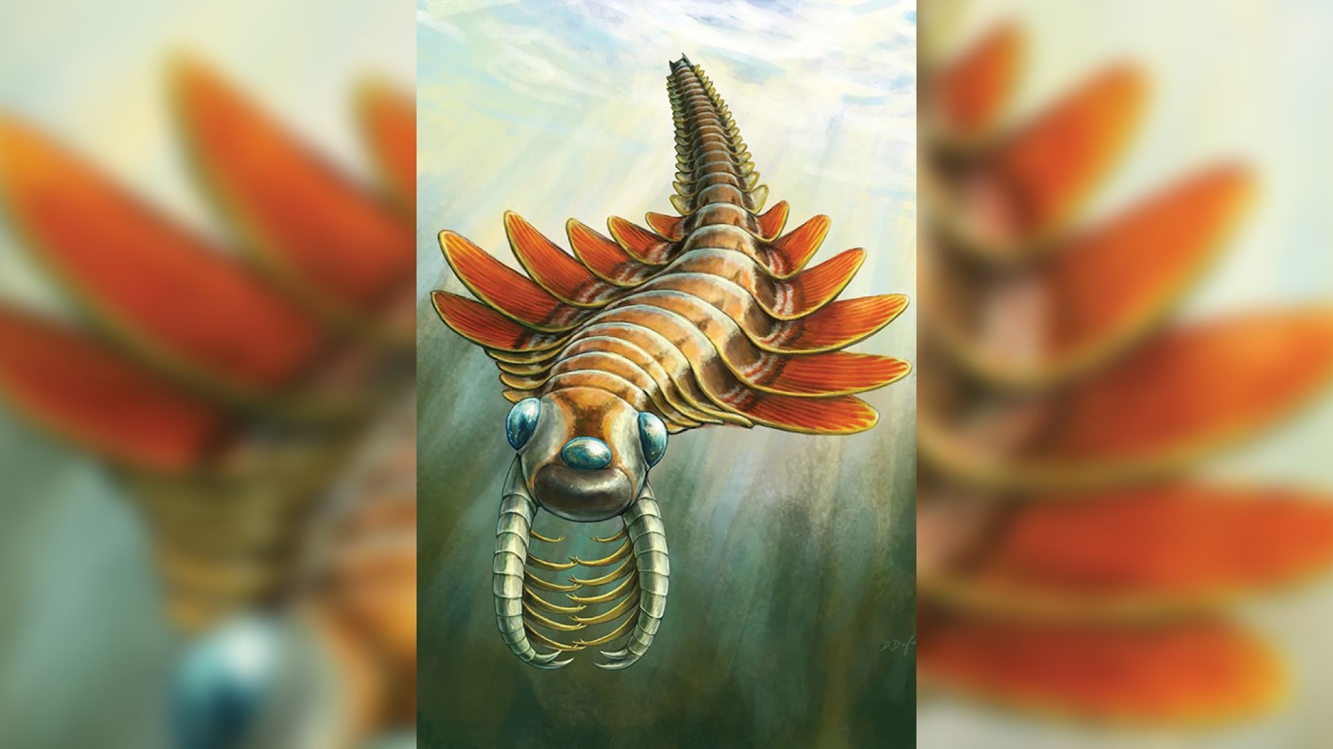 Half-a-billion-year-old 3-eyed sea creature dubbed 'Mosura' breathed ...